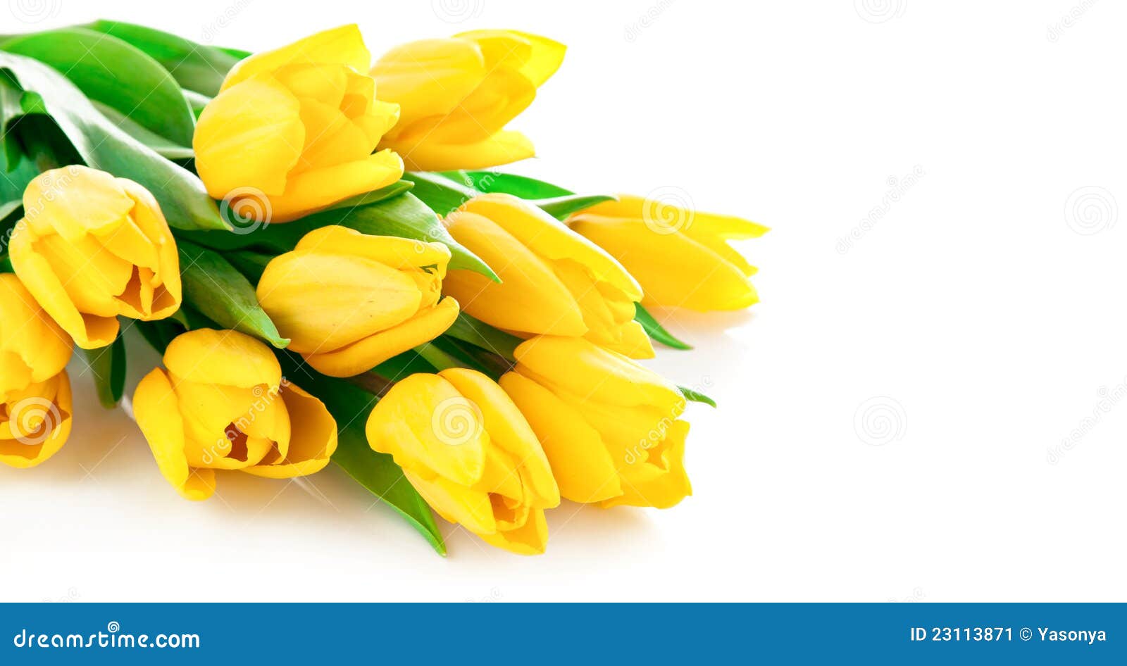 De gele tulp bloeit boeket stock afbeelding. Image of blad - 23113871