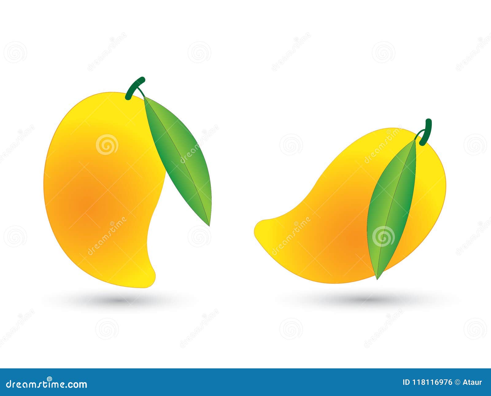 De Gele Vector Van De Kleuren Rijpe Mango Vector Illustratie ...