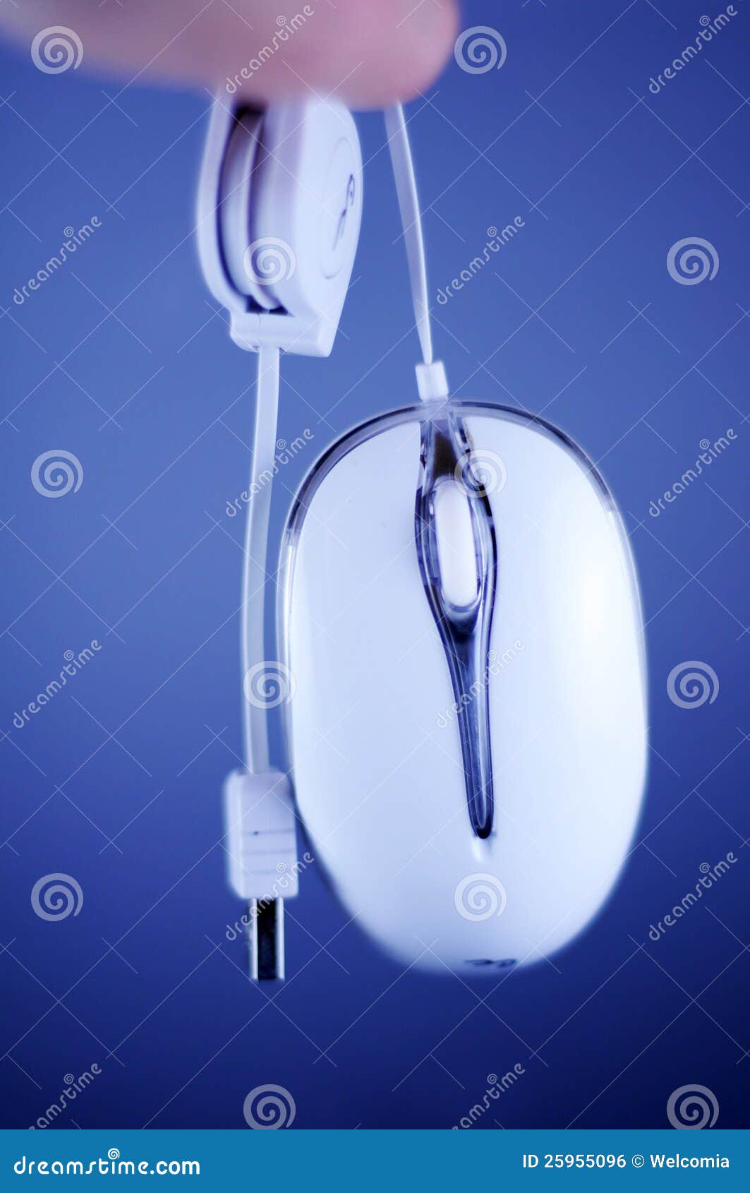 De Getelegrafeerde Muis Van PC Stock Foto - Image of computers, muis ...