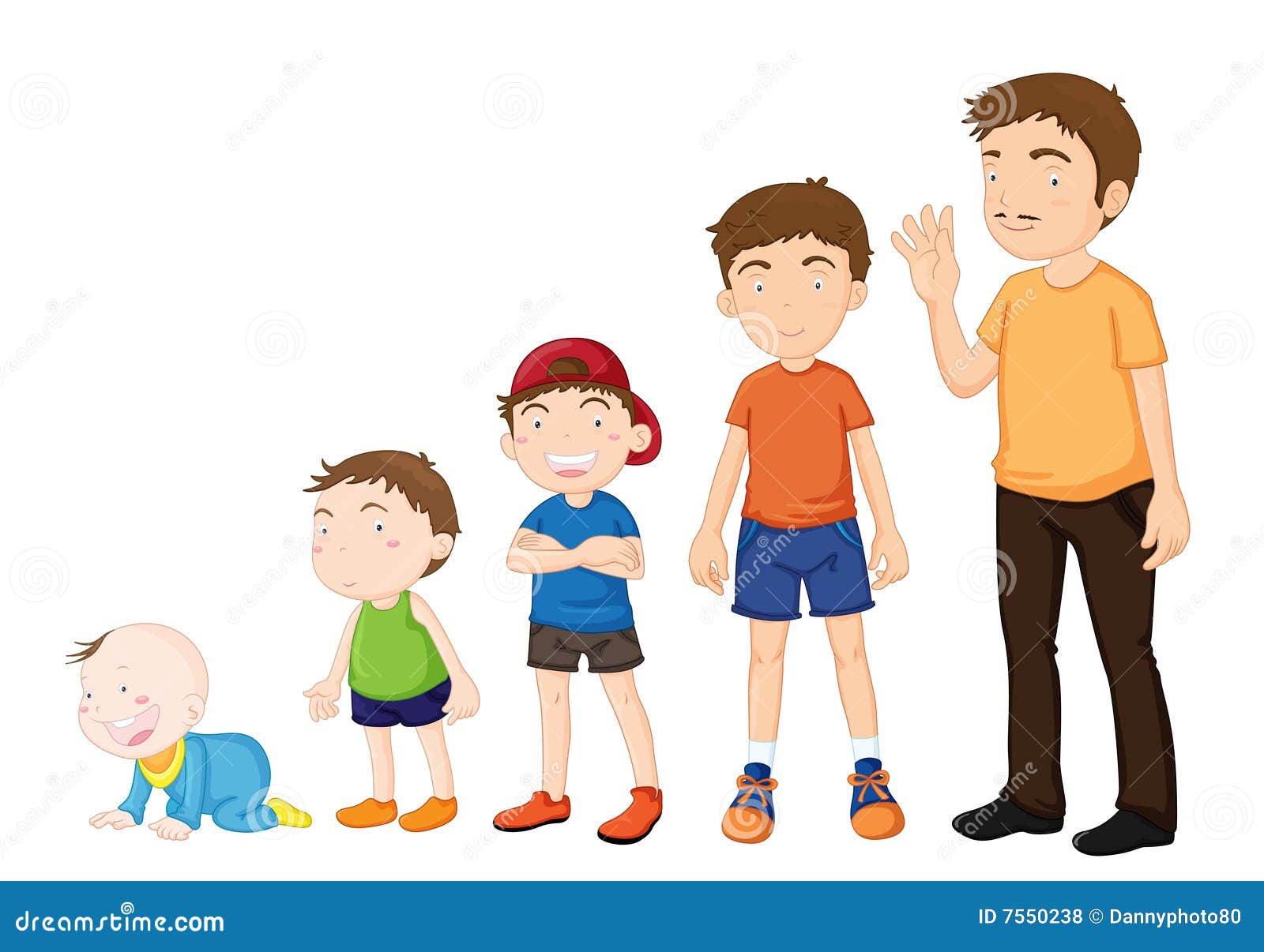 De groei en ontwikkeling vector illustratie. Illustration of ...