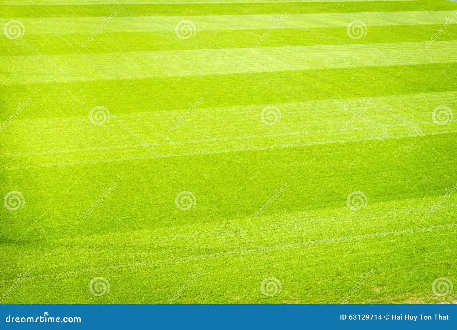 De Groene Achtergrond Van Het Grasgebied, Textuur, Patroon Stock Foto ...