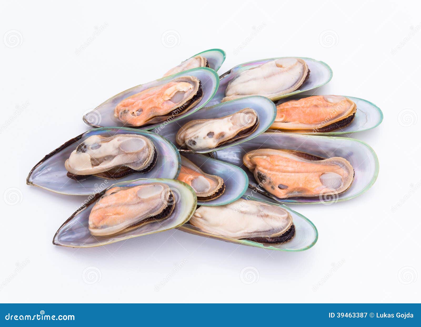 De Groene Mosselen Van Nezzeeland Stock Afbeelding - Image of voedsel ...