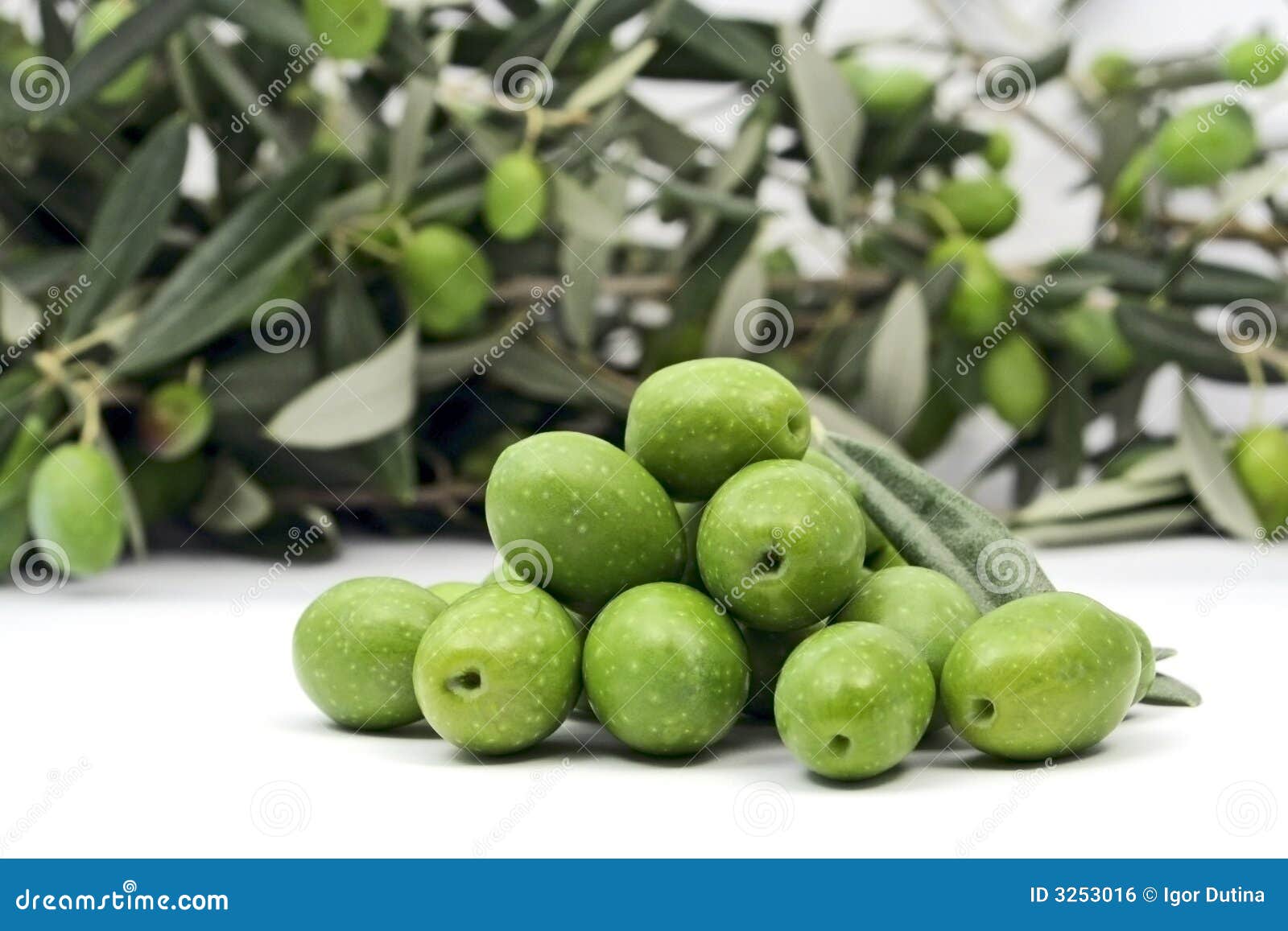 De Groene Olijven Isloated Op Wit Stock Foto - Image of dieet, grieks ...