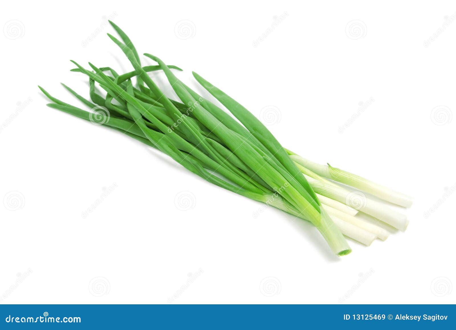 De groene uien van de bos stock afbeelding. Image of uien - 13125469