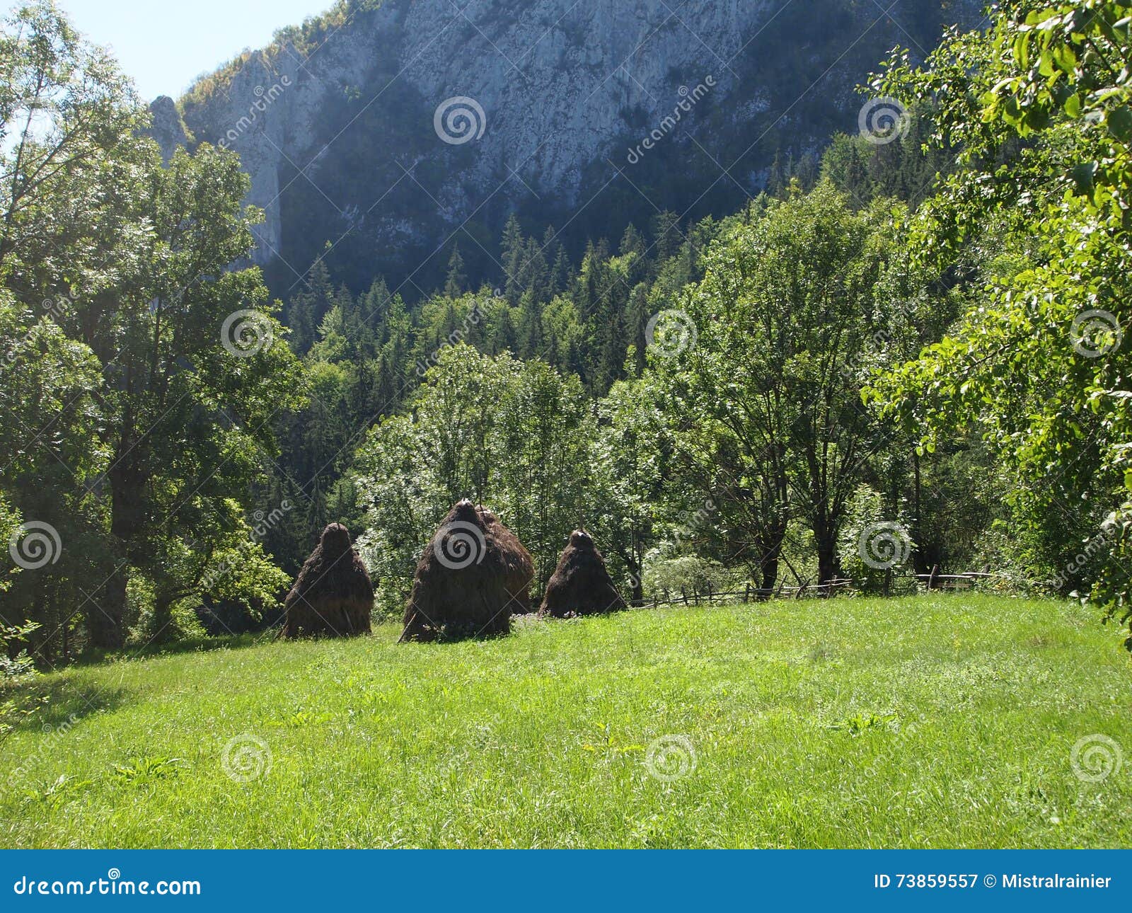 De Groene Weide Van Het Berglandschap Stock Afbeelding - Image of ...