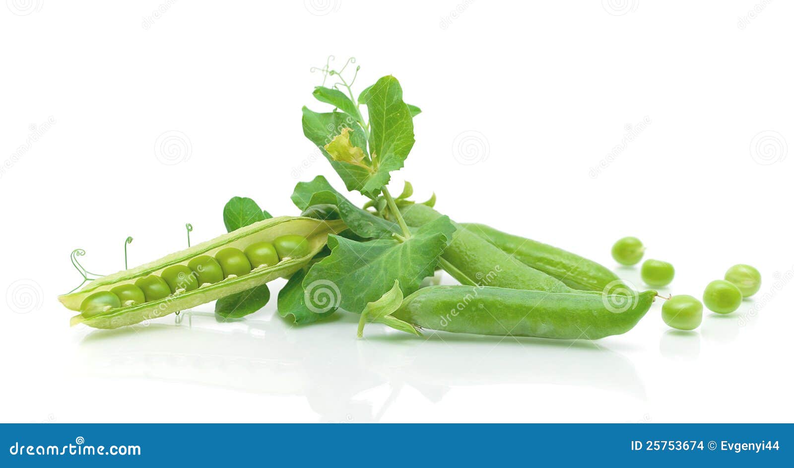 De Groente Van De Erwt Met Groen Blad Op Witte Achtergrond Stock Foto ...
