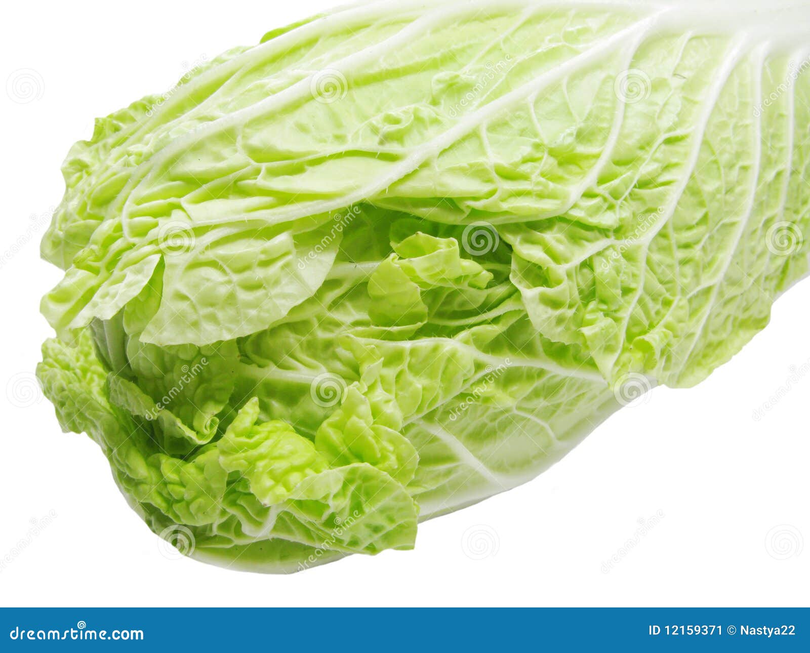De groente van de sla stock afbeelding. Image of gezond - 12159371