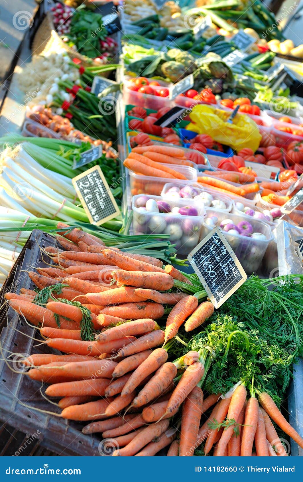 De groenten van de markt stock foto. Image of seizoengebonden - 14182660