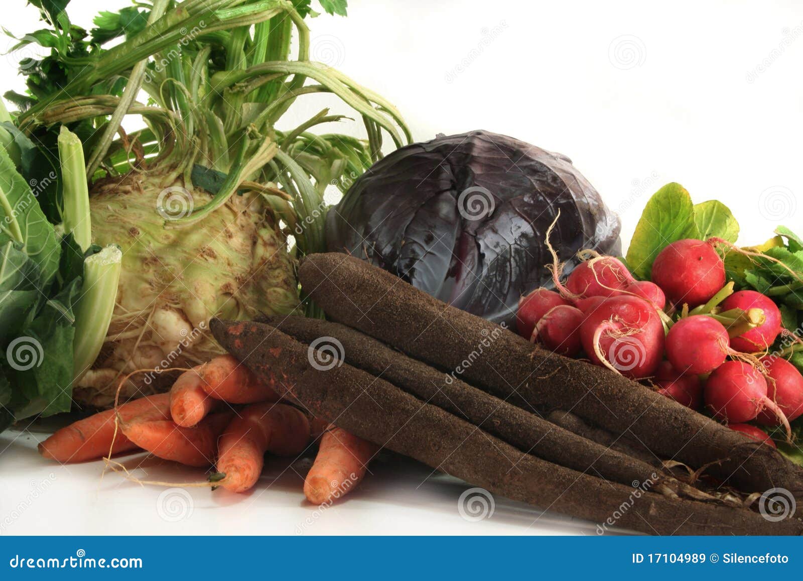 De groenten van de winter stock afbeelding. Image of groenten - 17104989