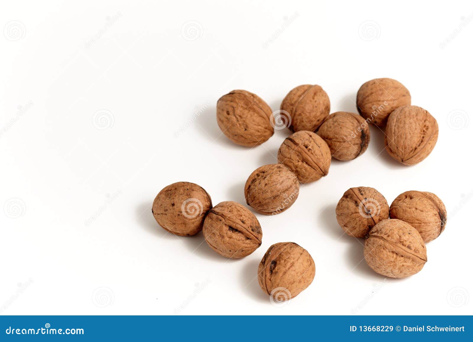 De groep van de okkernoot stock afbeelding. Image of helder - 13668229