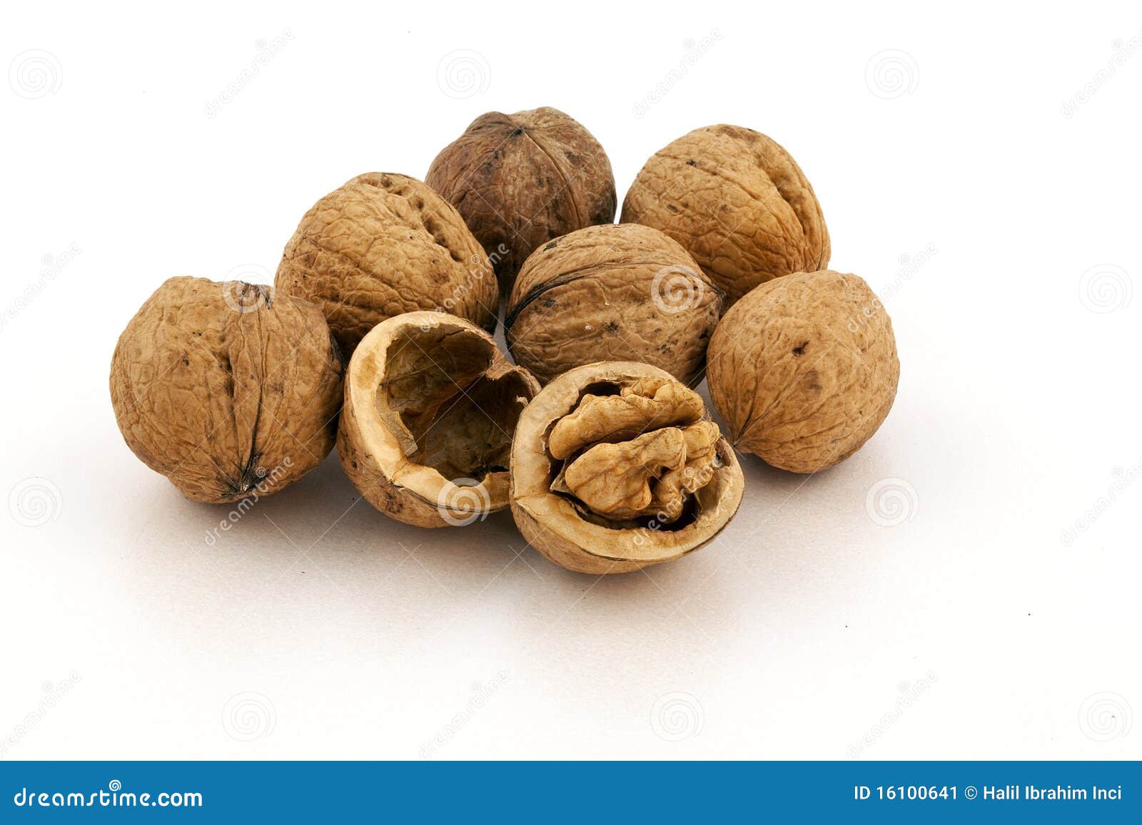 De groep van de okkernoot stock afbeelding. Image of oogst - 16100641