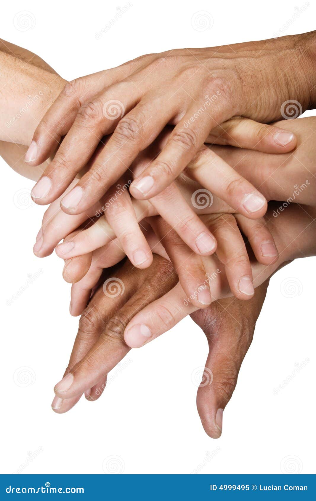 De groep van handen stock afbeelding. Image of vinger - 4999495