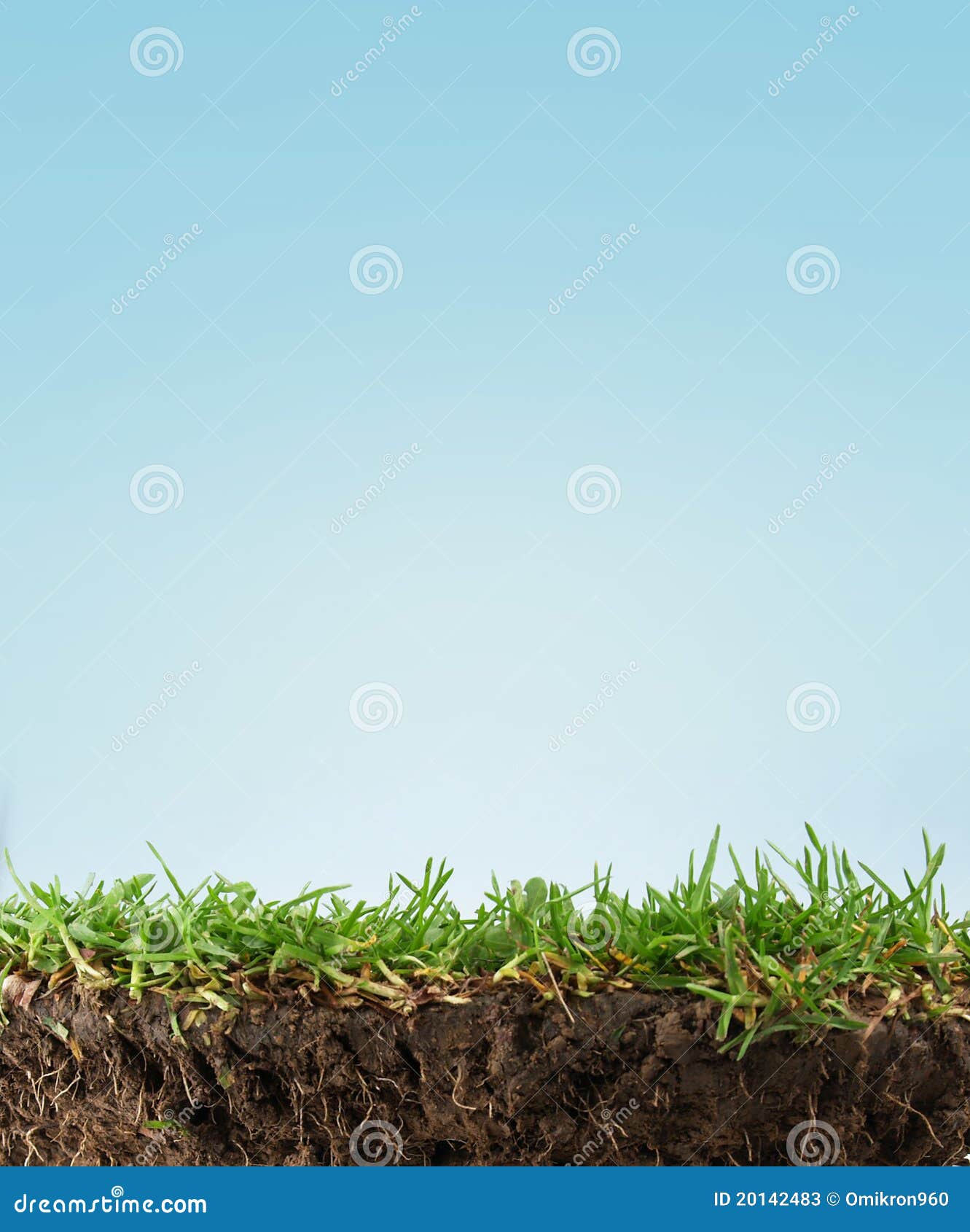 De grond van het gras stock afbeelding. Image of maai - 20142483