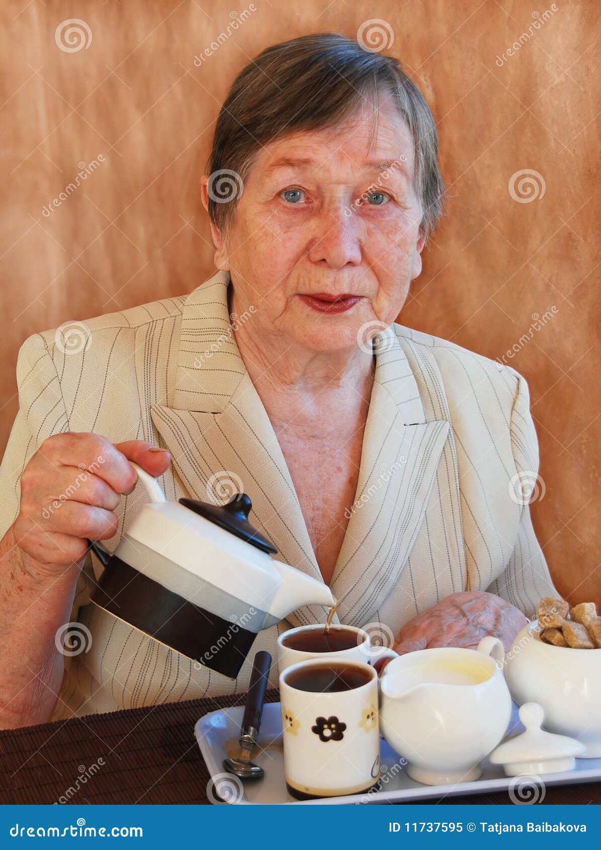 De grootmoeder stock afbeelding. Image of grootmoeder - 11737595