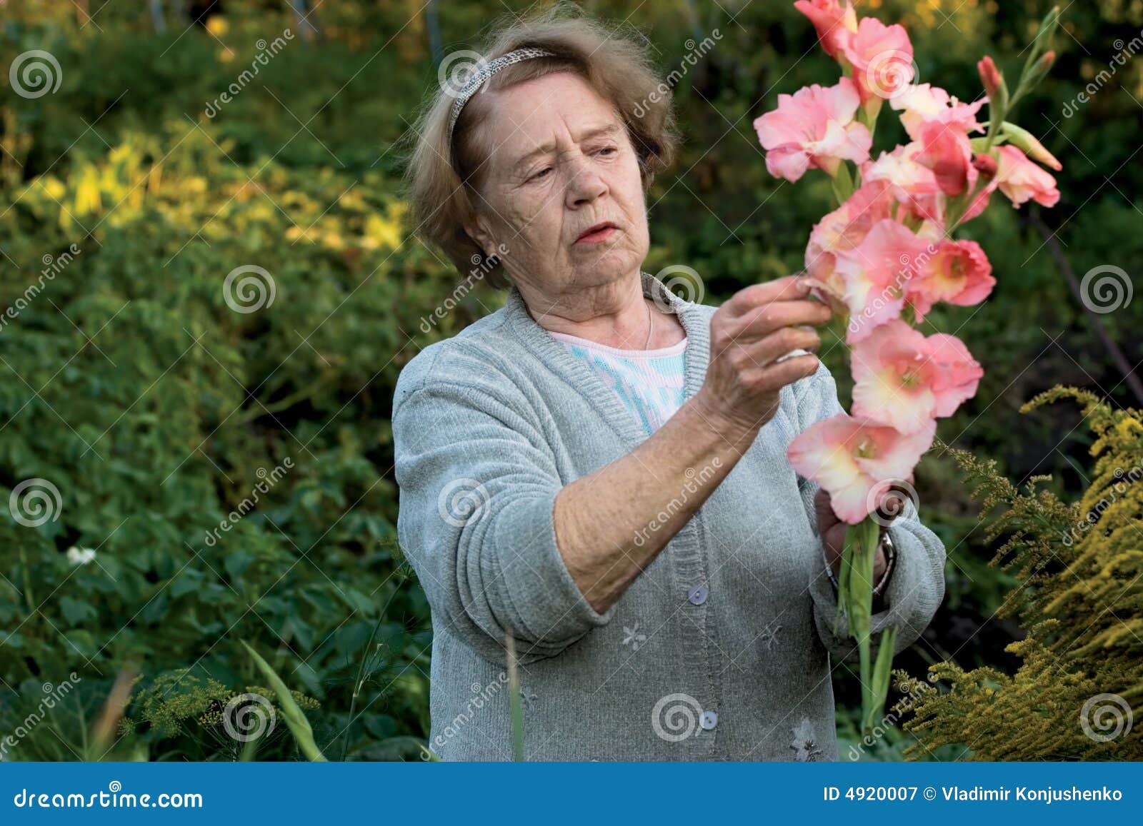 De grootmoeder stock afbeelding. Image of oudste, leeftijd - 4920007