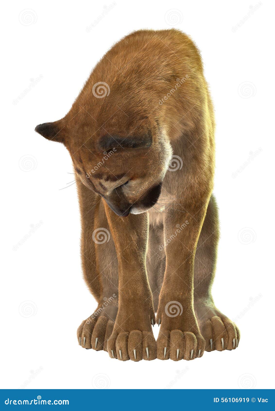 De grote Poema van de Kat stock illustratie. Illustration of nave ...