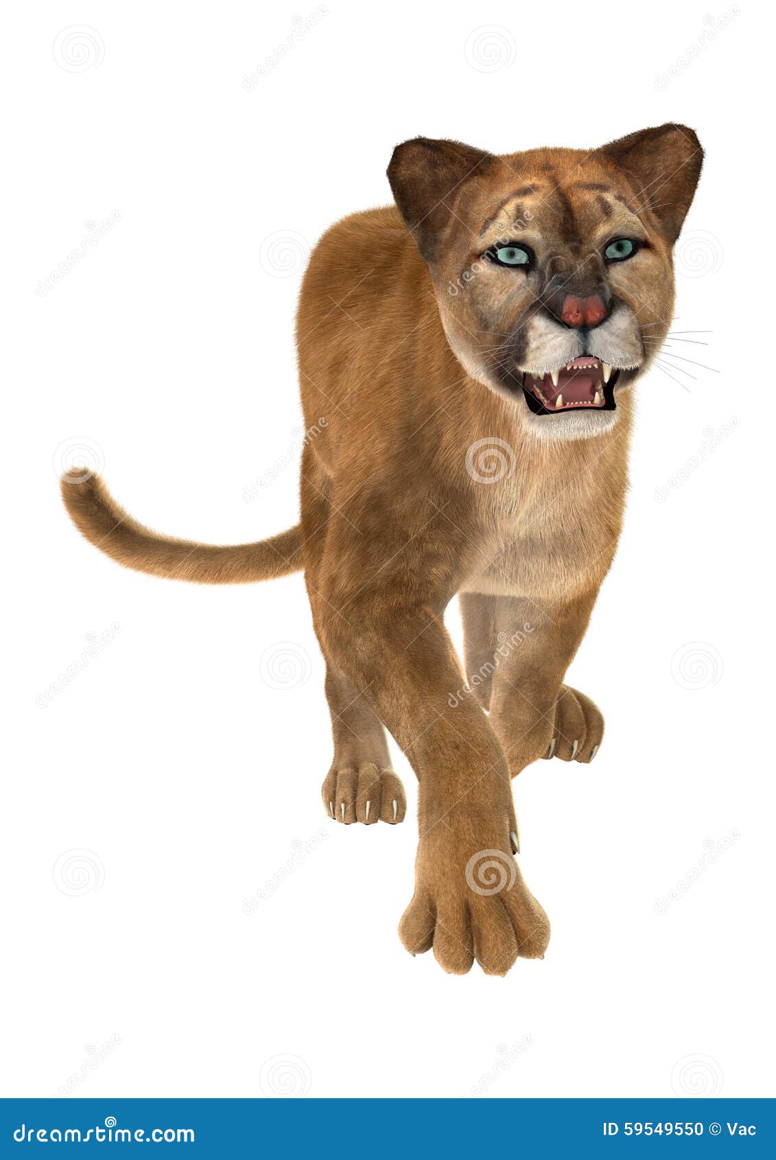 De grote Poema van de Kat stock foto. Image of lopen - 59549550