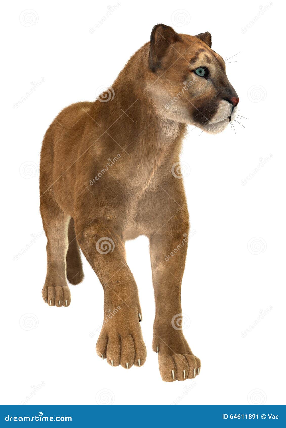 De grote Poema van de Kat stock afbeelding. Image of groot - 64611891