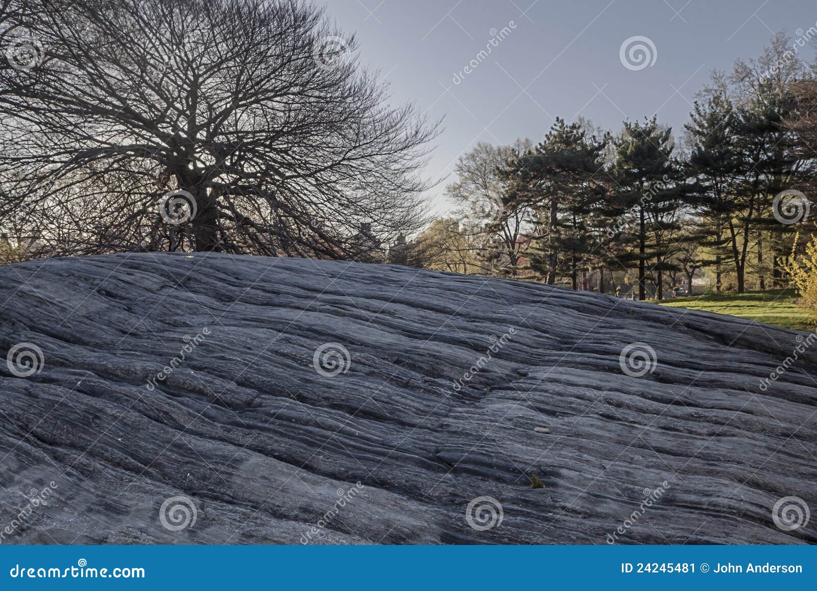 De Grote Rots Van Het Central Park Stock Afbeelding - Image of dageraad ...