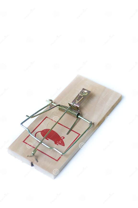 De grote Val van de Muis stock foto. Image of vangst, knaagdier - 9673188