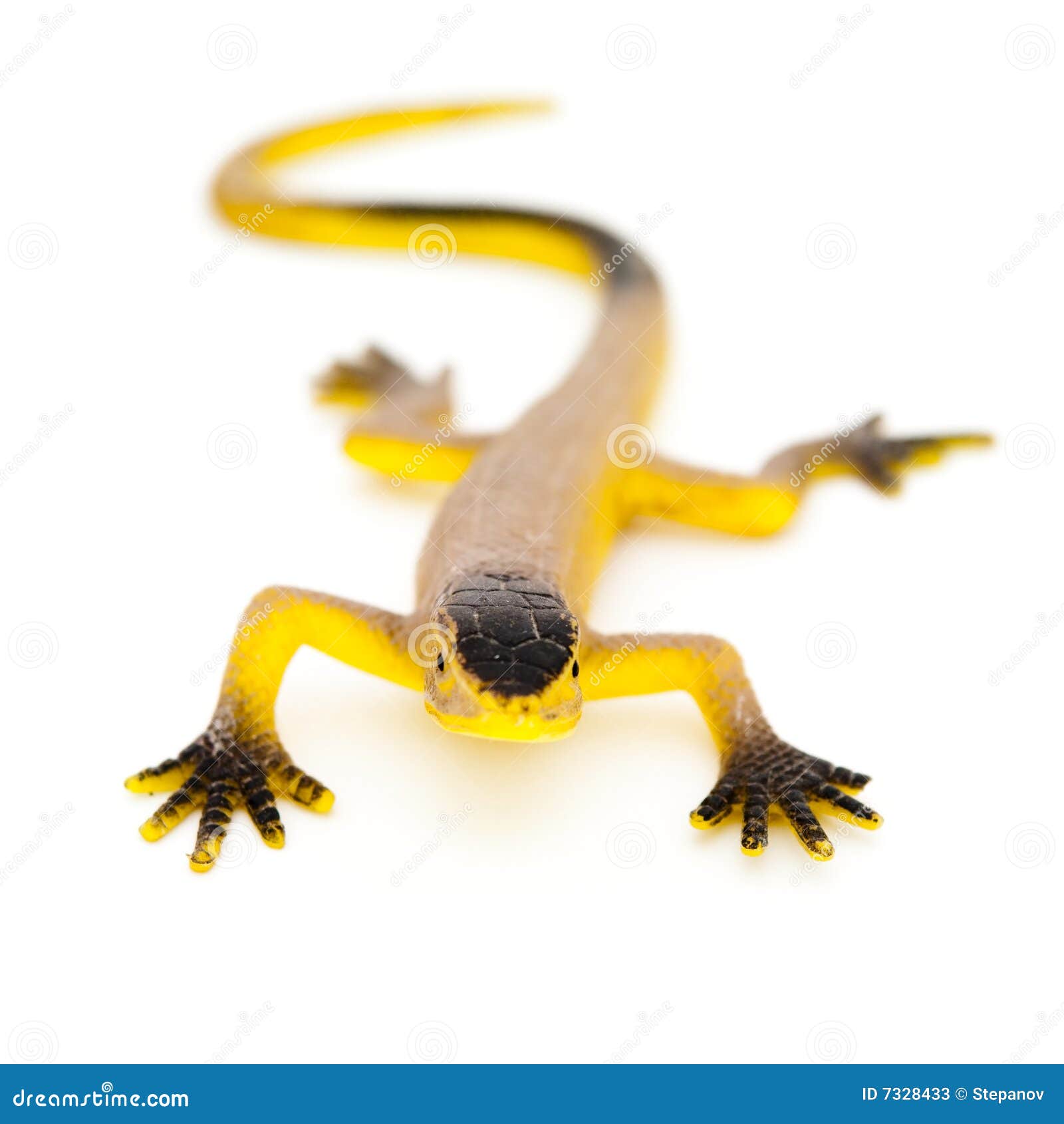 De Hagedis Van Het Stuk Speelgoed Stock Afbeelding - Afbeelding ...