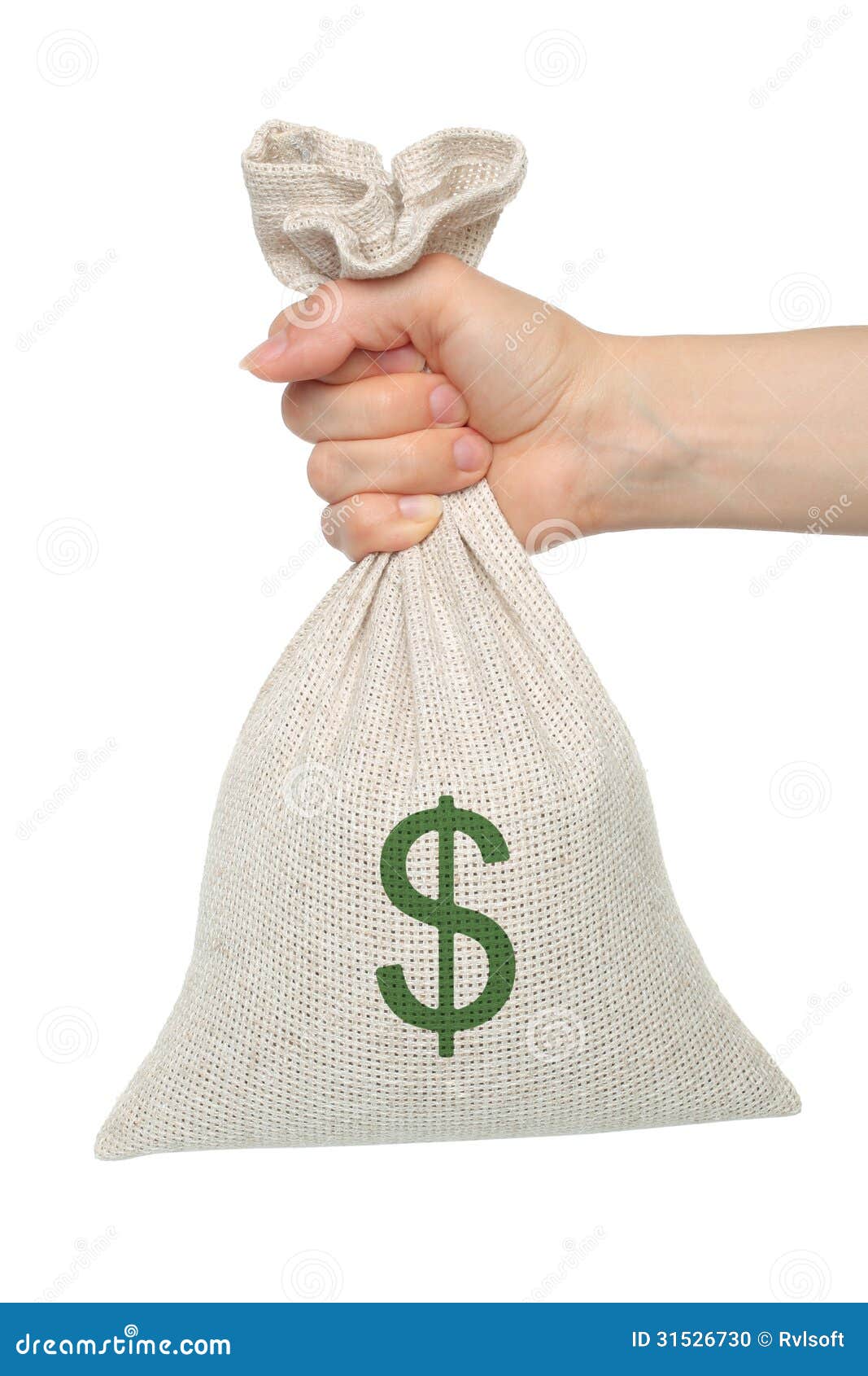 De hand houdt zak met geld stock foto. Image of draag - 31526730