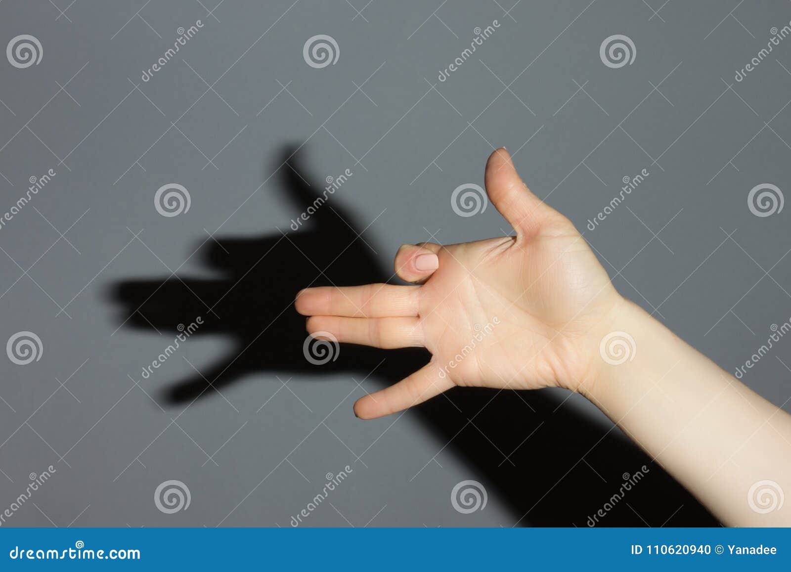 De Hand Toont Een Schaduw Van Hond Stock Foto - Image of wapen, steun ...