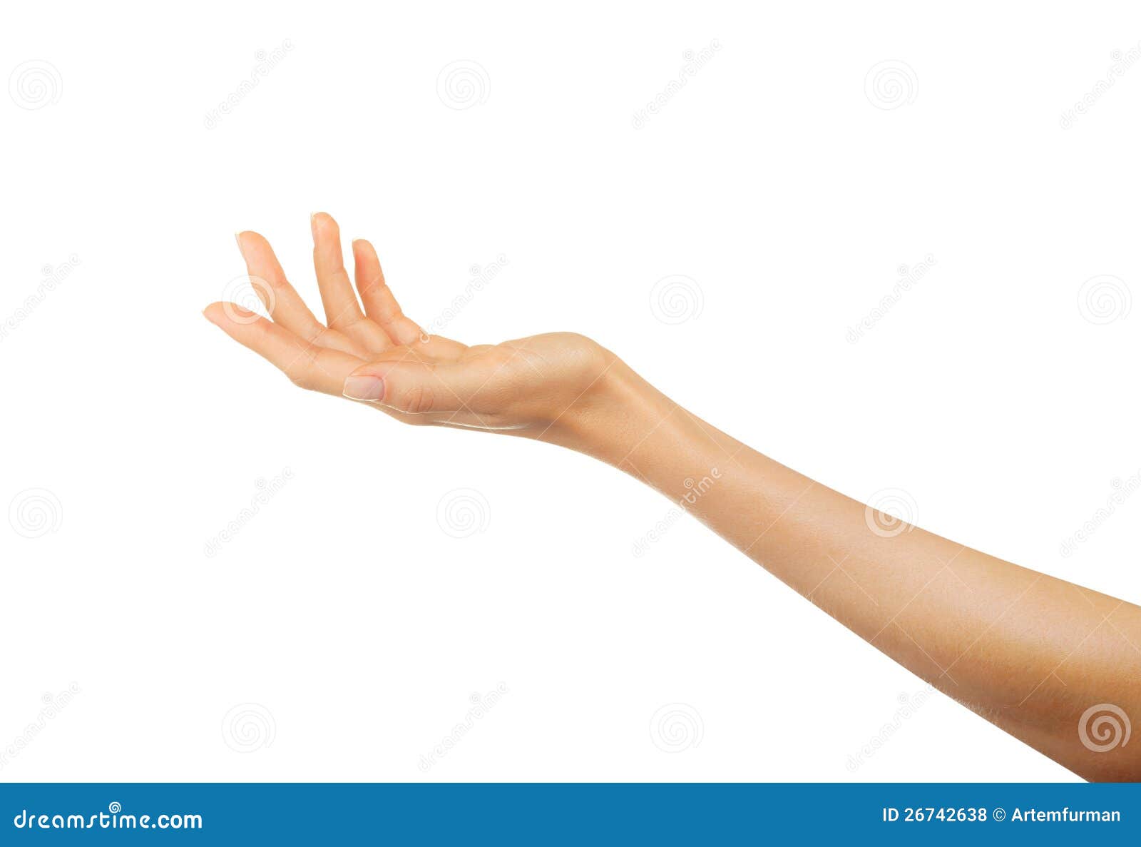 De hand van de vrouw stock foto. Image of open, mooi - 26742638