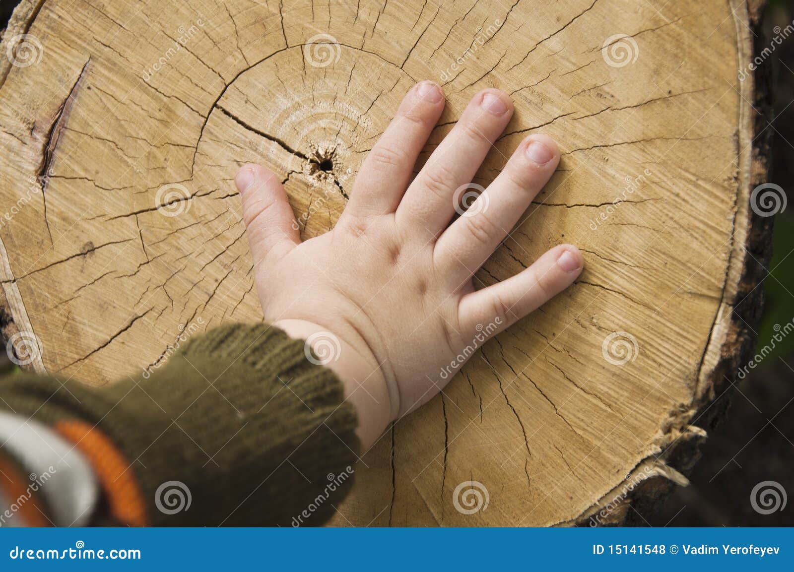 De Hand Van Kinderen Op Stomp Stock Foto - Image of tijdperk, lichaam ...