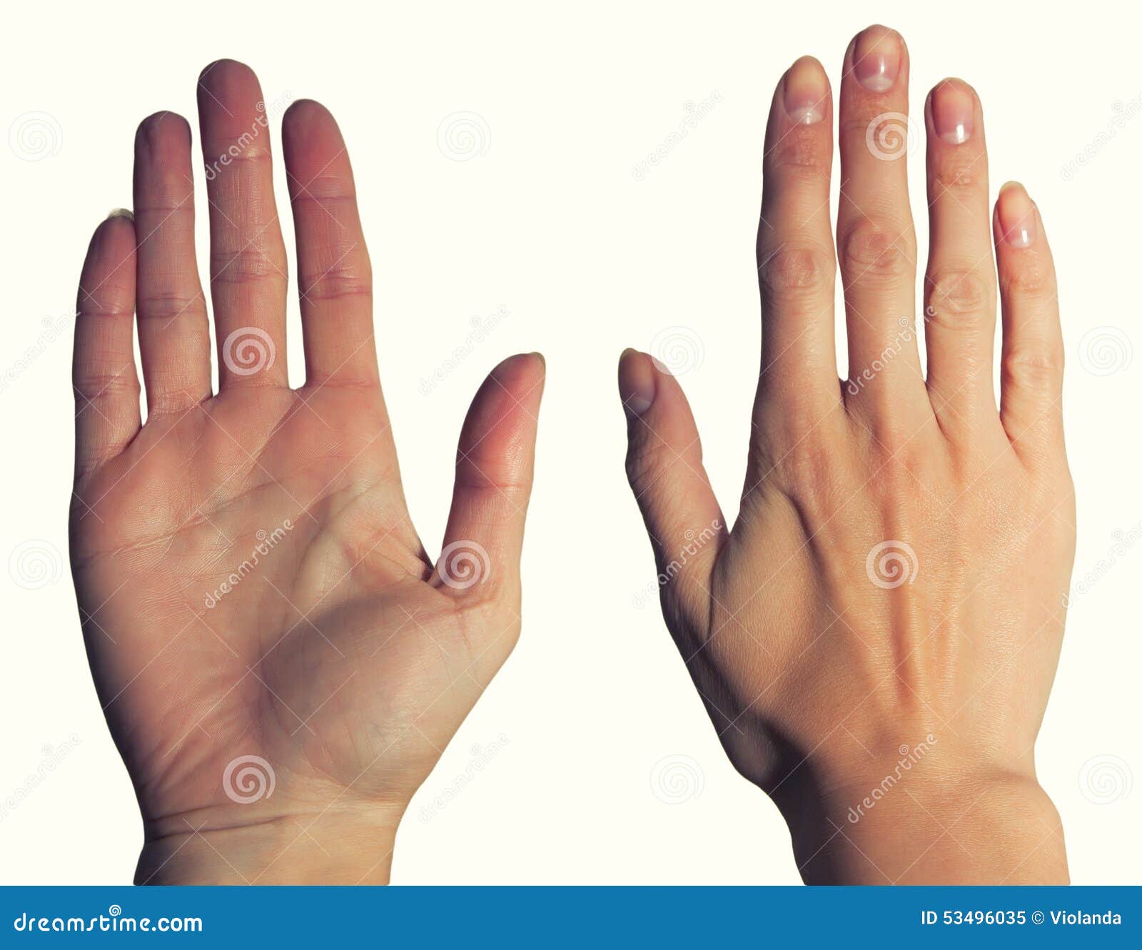 De Handen, De Palm En De Rug Van Vrouwen Stock Afbeelding - Image of ...