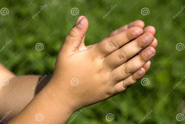De Handen Van Het Kind Het Bidden Stock Afbeelding - Image of baby ...