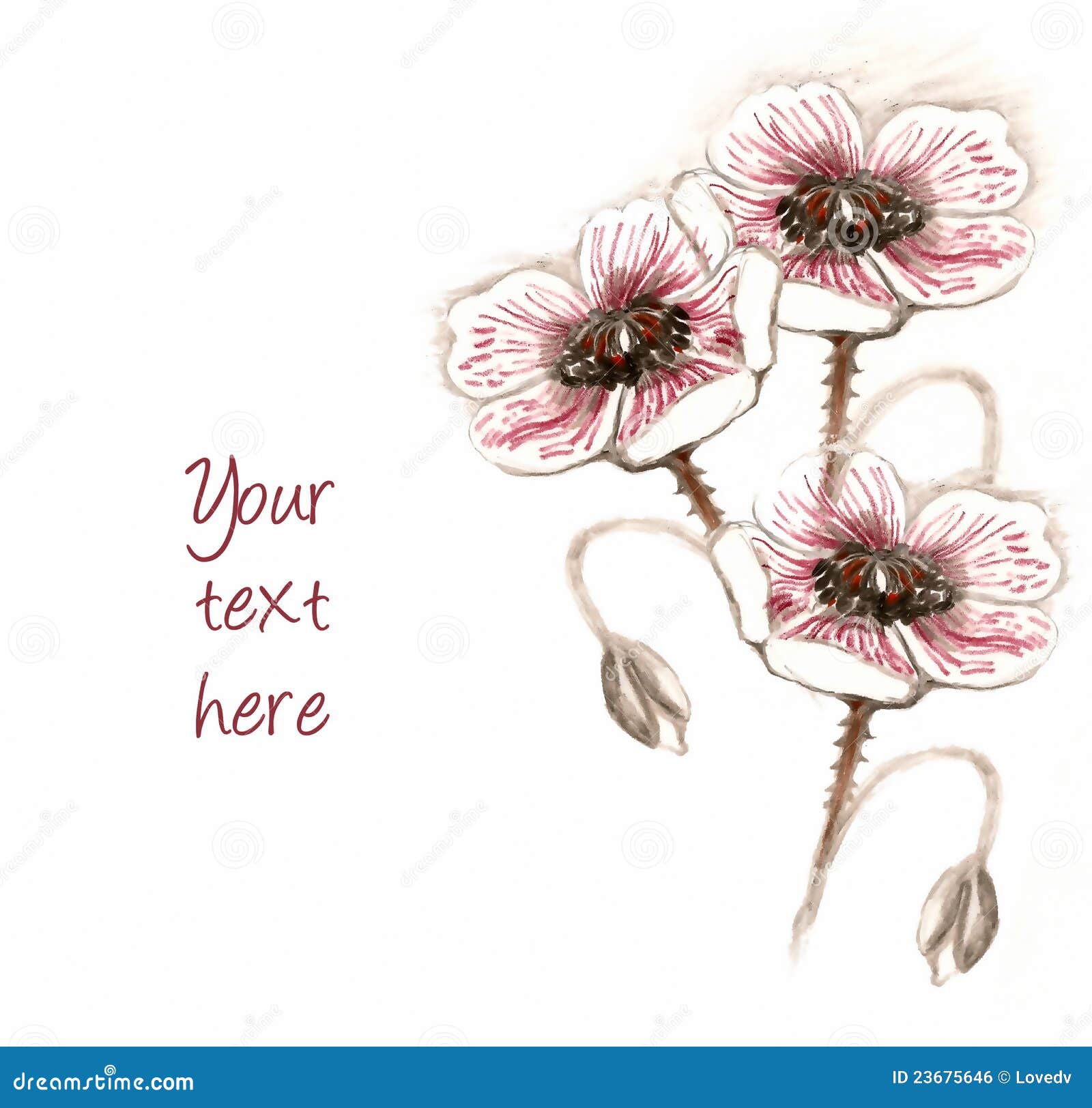 De Handtekening Van Het Ruikertje Stock Illustratie - Illustration of ...