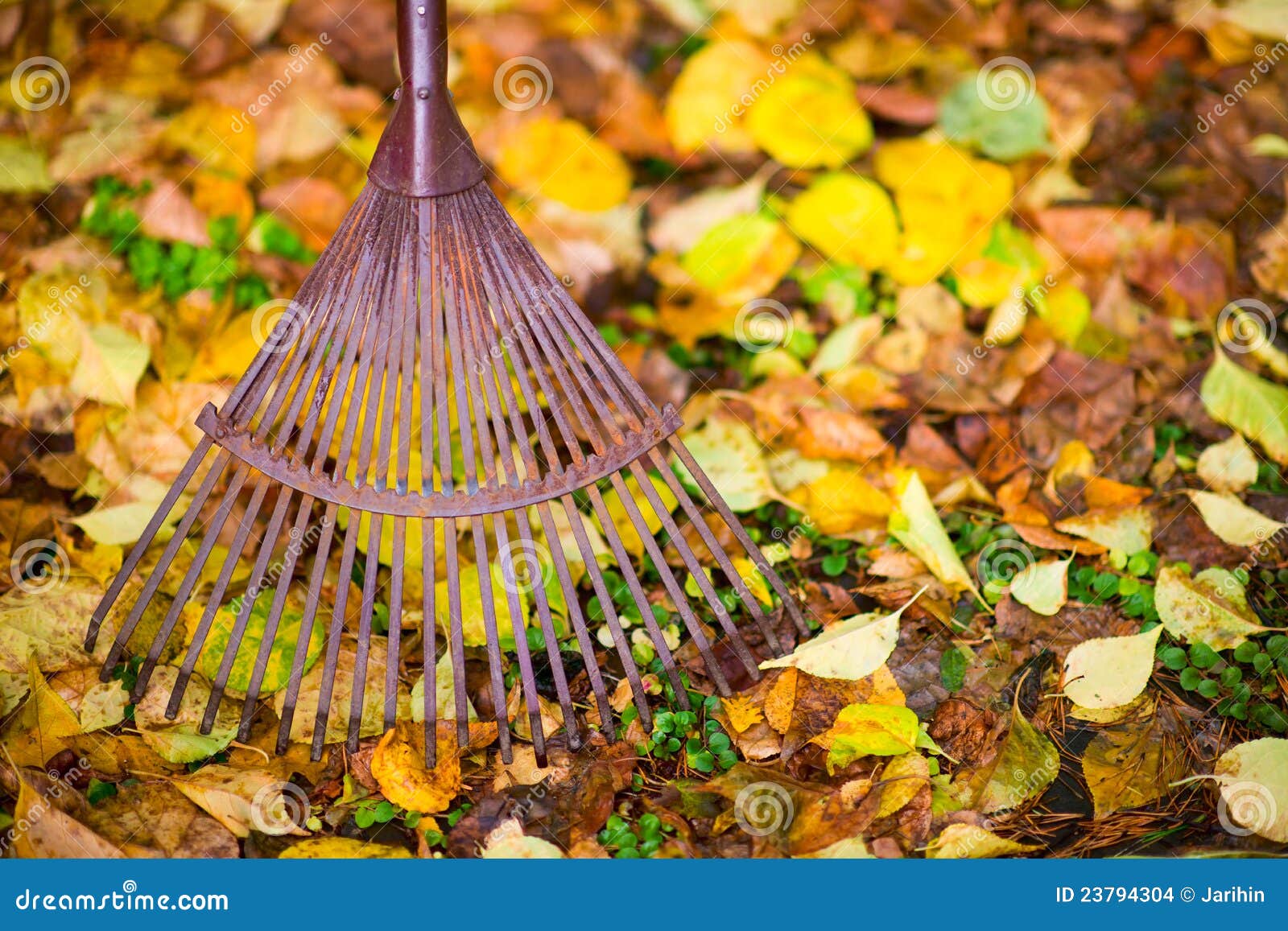 De hark en doorbladert stock foto. Image of hark, oktober - 23794304