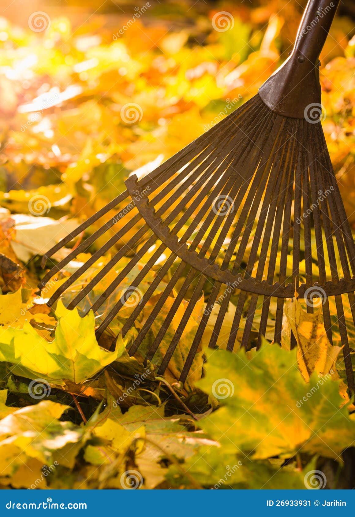 De hark en doorbladert stock afbeelding. Image of kleuren - 26933931
