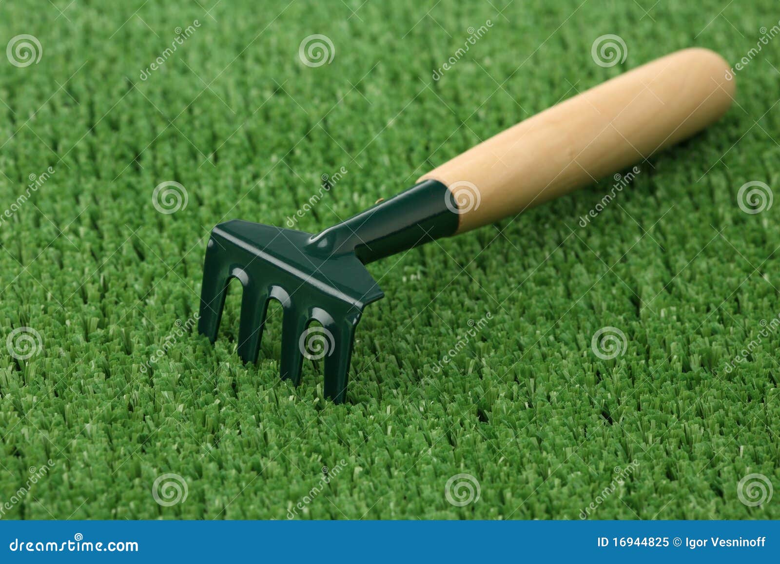 De hark van de tuin stock afbeelding. Image of hark, onkruid - 16944825