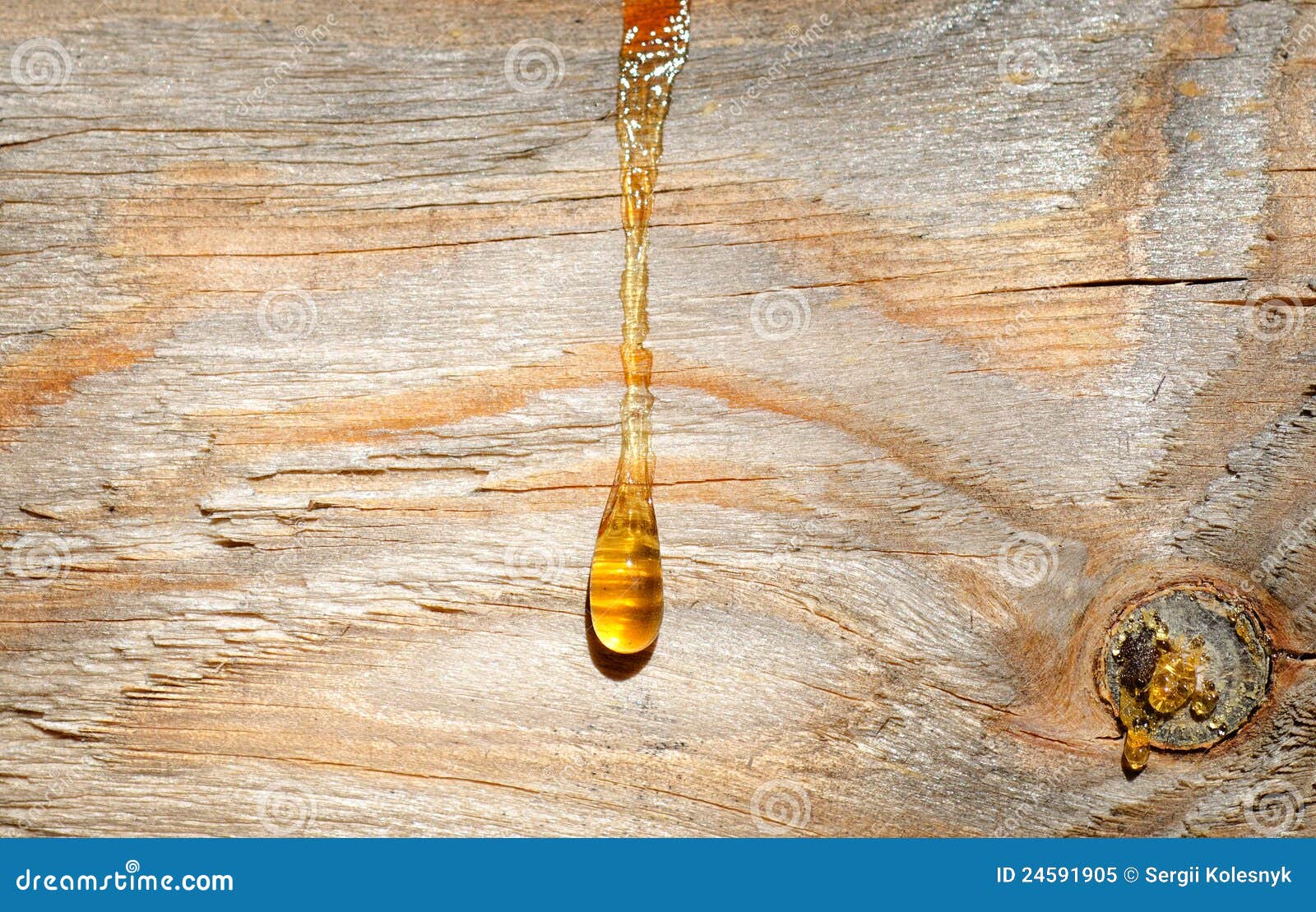 De hars van de boom stock afbeelding. Image of vergrijzing - 24591905