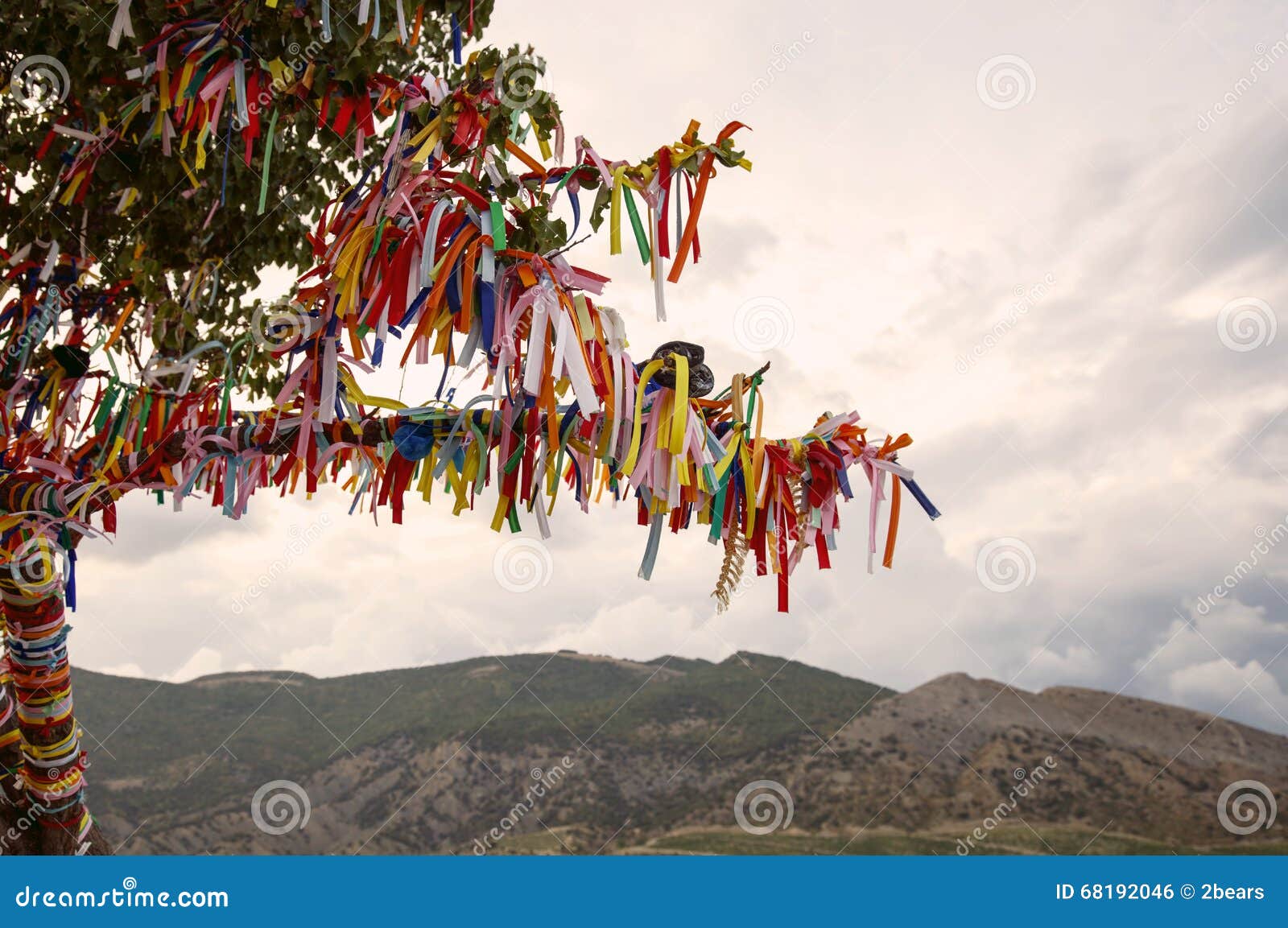 De Heilige Het Dit Wensen Boom Van Wensen En Dromen Stock Foto - Image ...