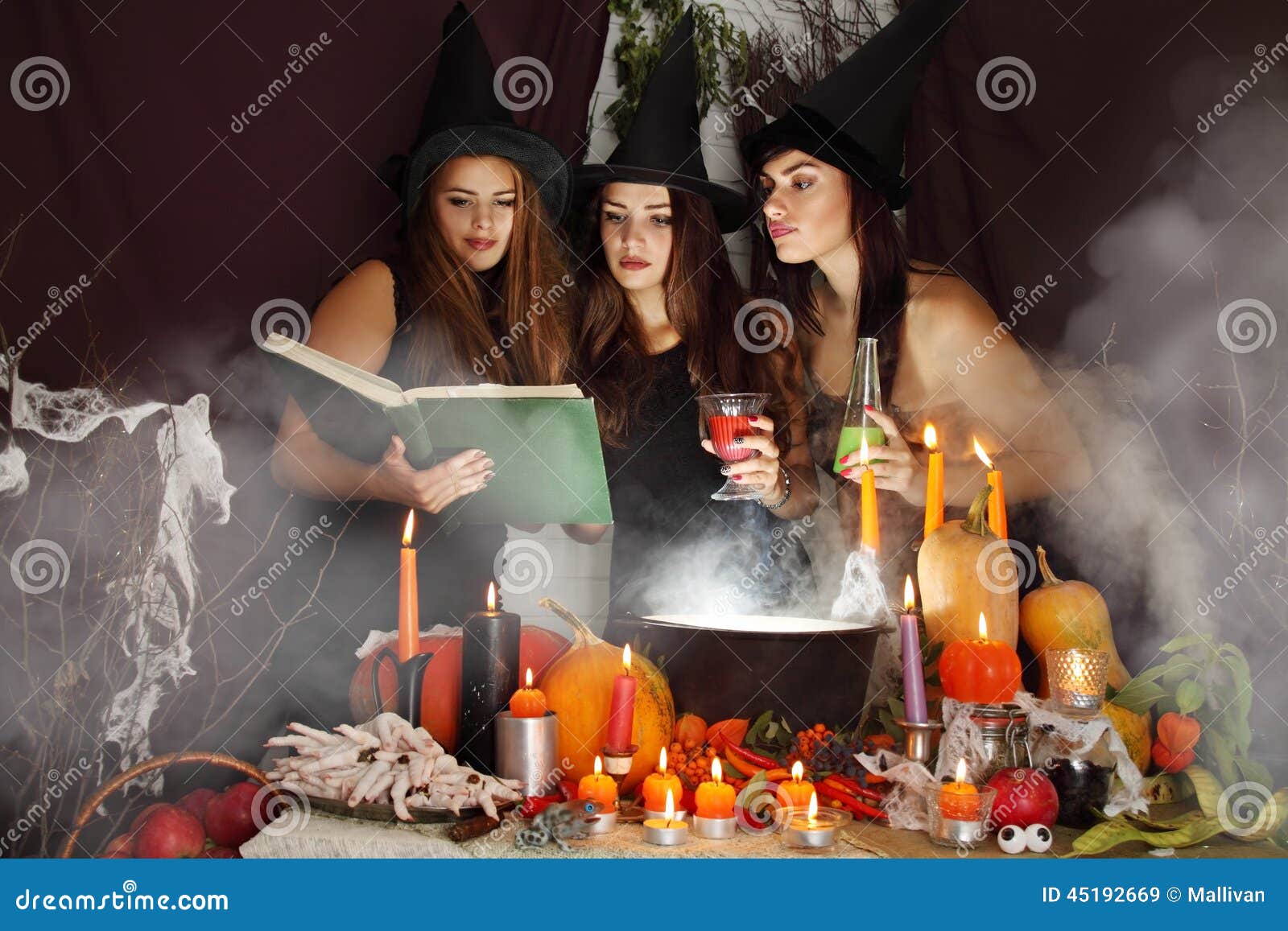 De Heksen Onderzoeken Het Boek Stock Afbeelding - Image of ...