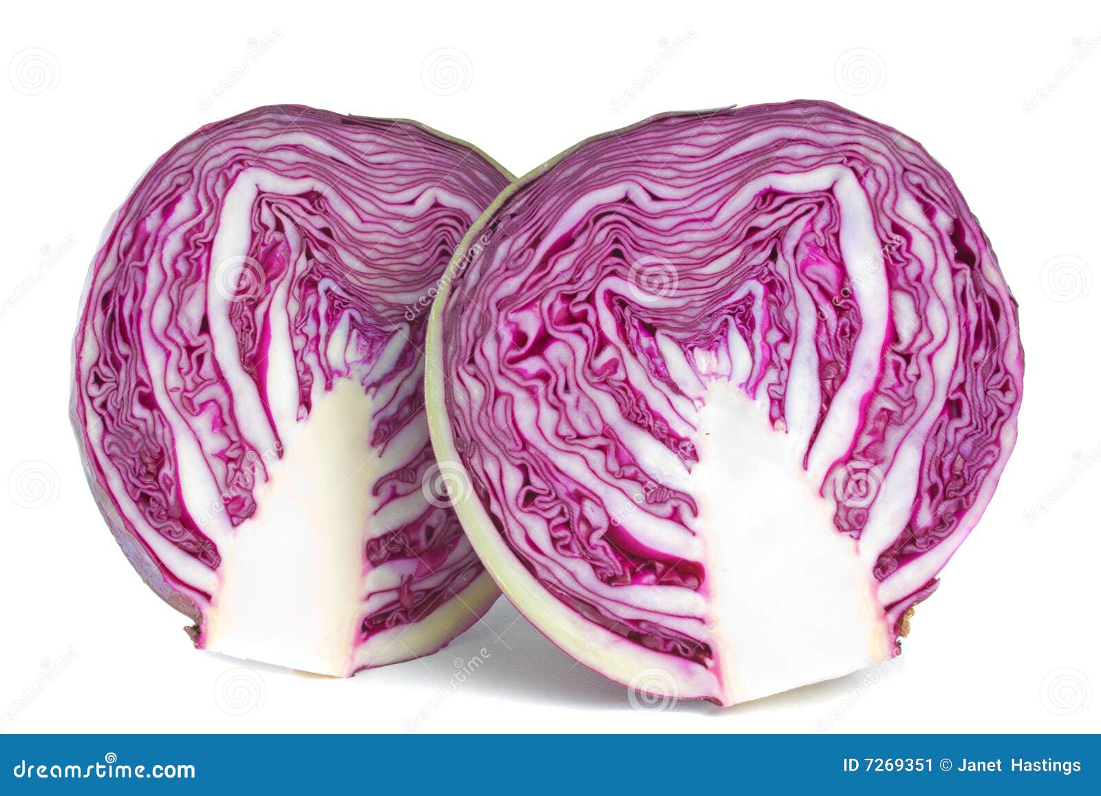 De Helften Van De Rode Kool Over Wit Stock Afbeelding - Image of ...