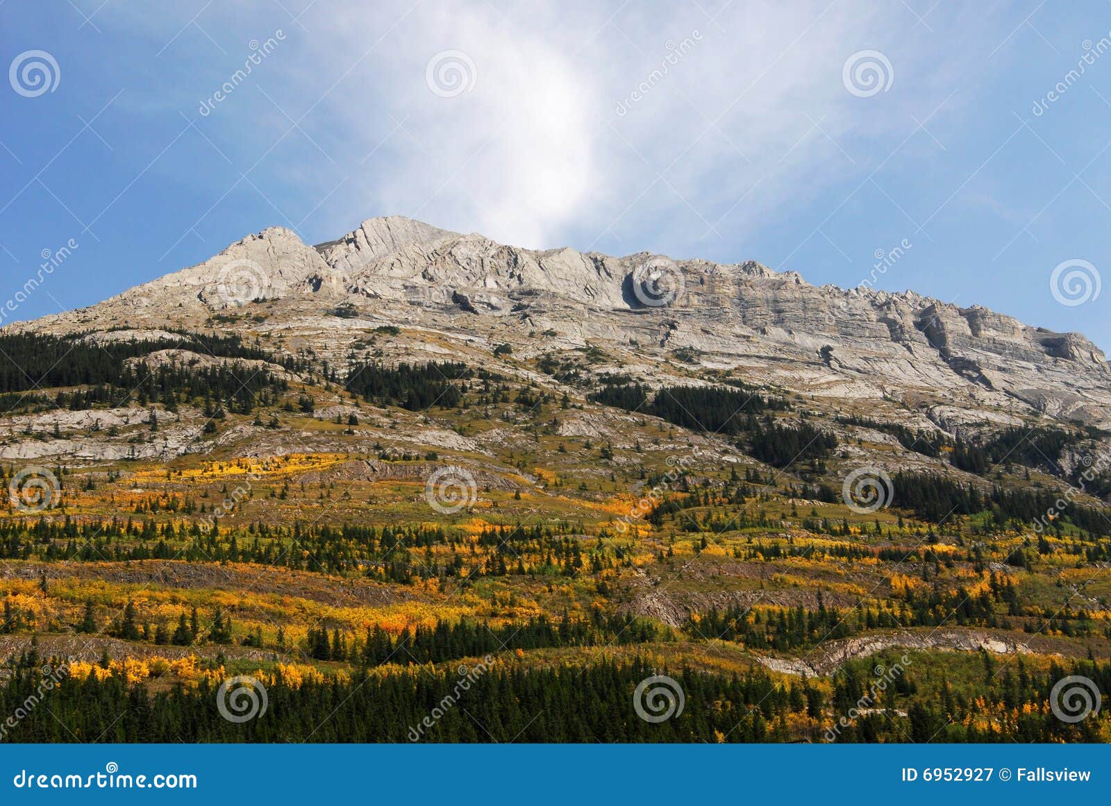 De Hellingen Van De Berg Met Bossen Stock Afbeelding - Image of randen ...