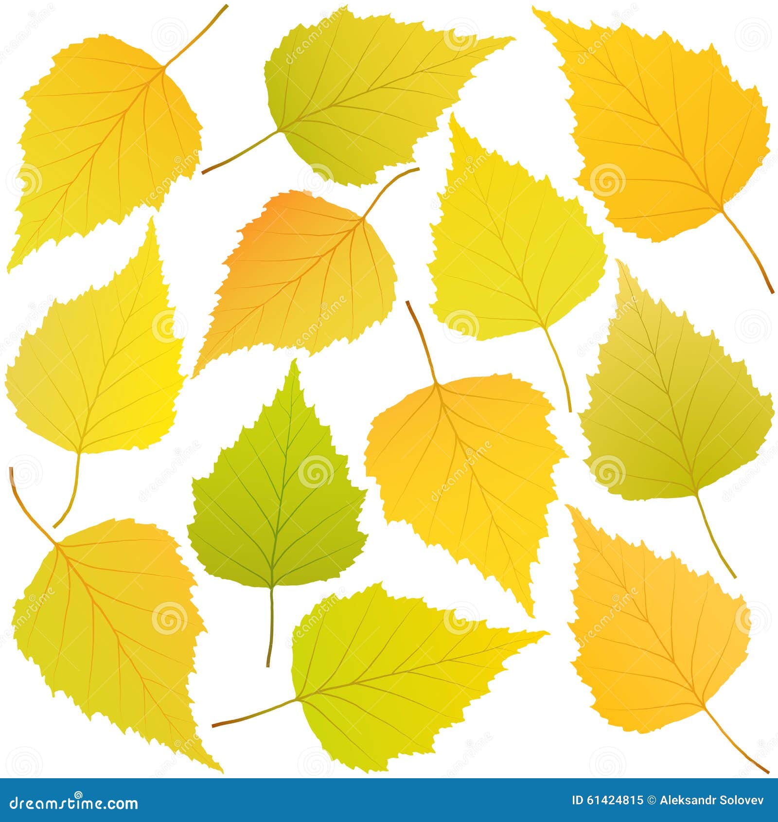 De herfstbladeren van berk vector illustratie. Illustration of berk ...