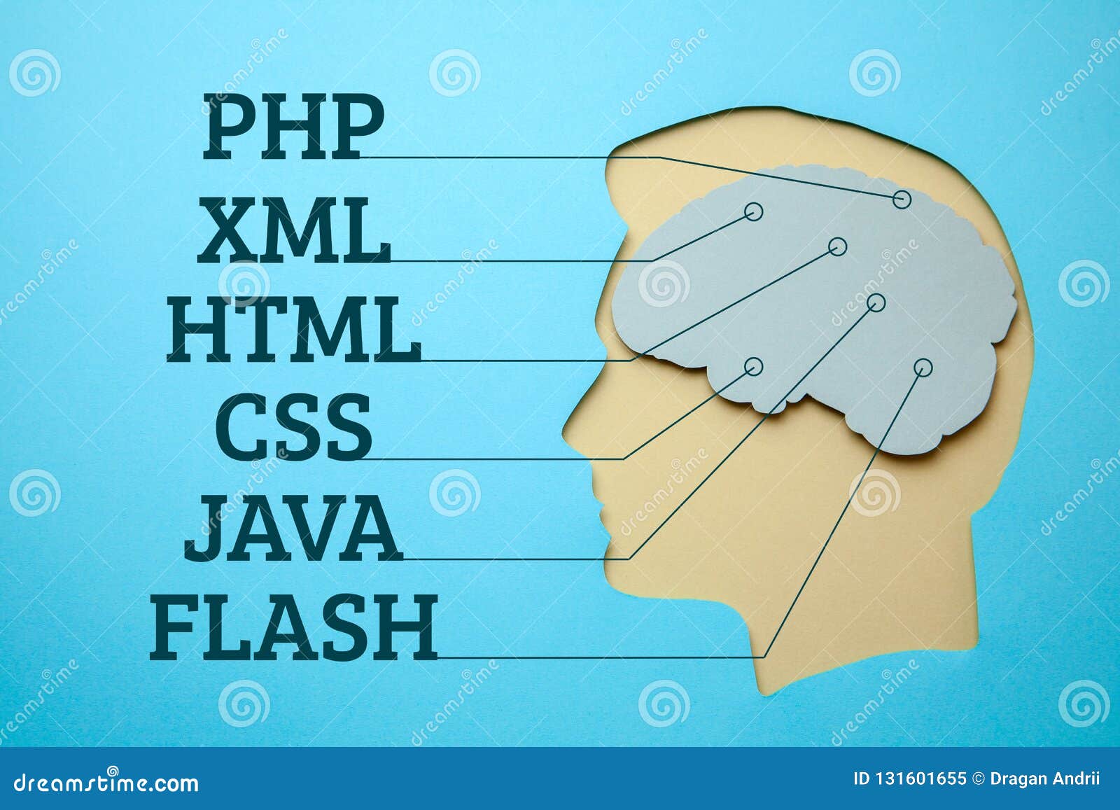 De Hersenen Van De Programmeur Het Leren Programmering of Het Vinden ...