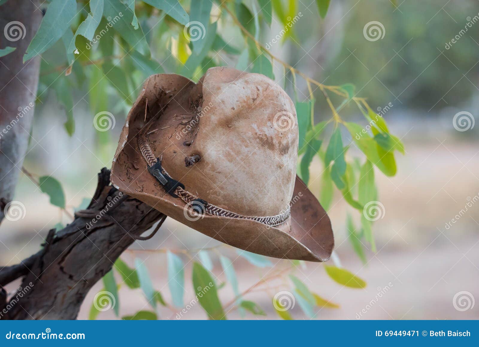 De Hoed van de Bosjesman stock afbeelding. Image of bosjesman - 69449471
