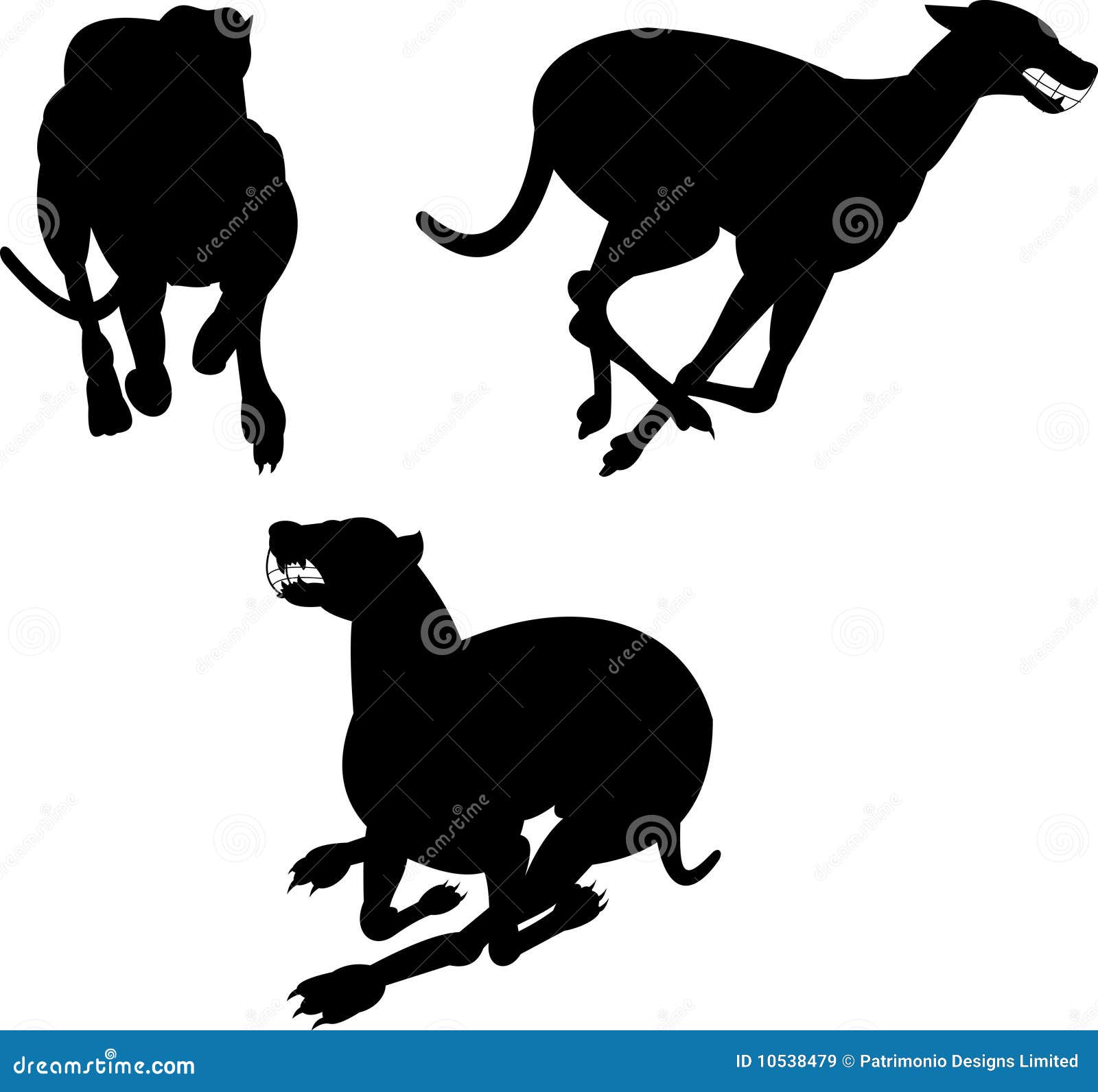 De Hond Van De Windhond Het Rennen Vector Illustratie - Illustration of ...