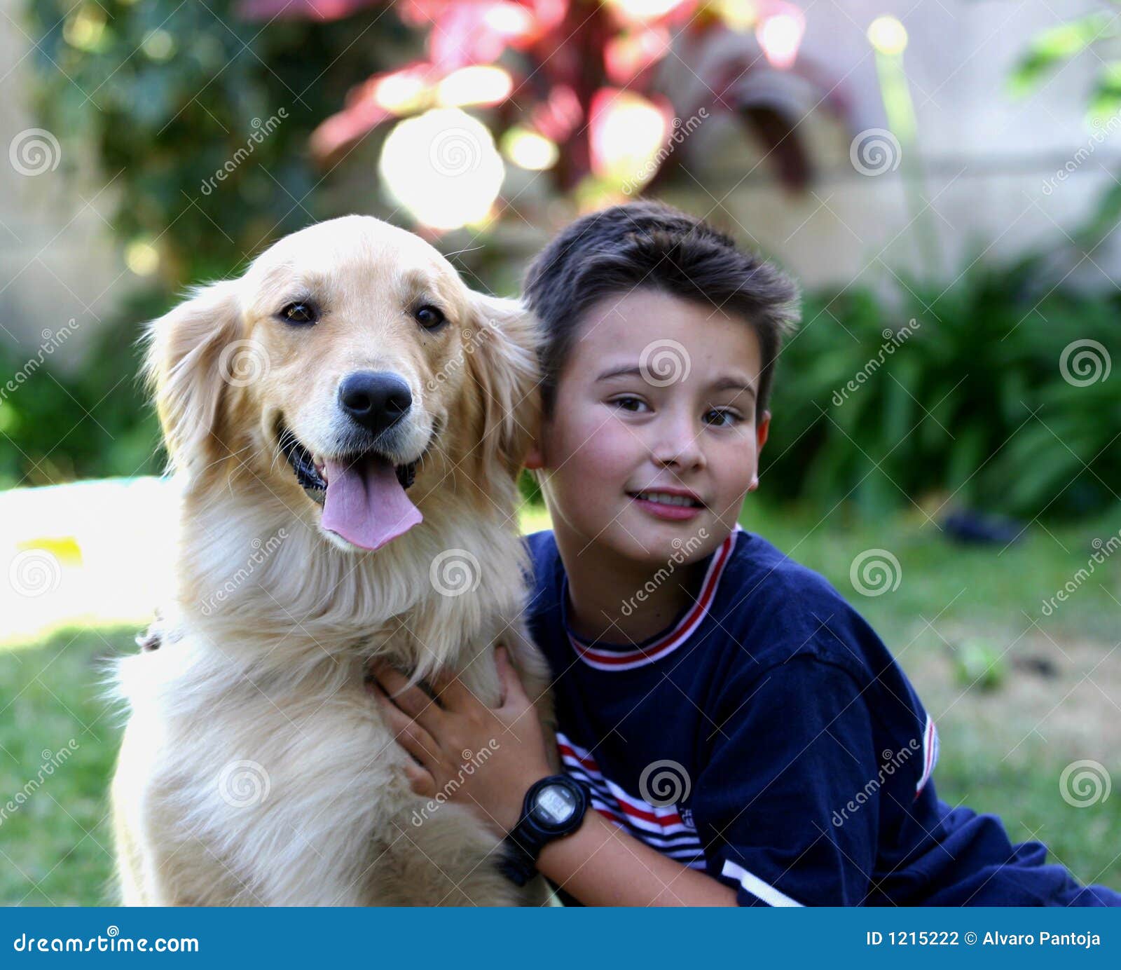 De Hond Van Het Jonge Geitje Stock Foto - Image of gezond, band: 1215222