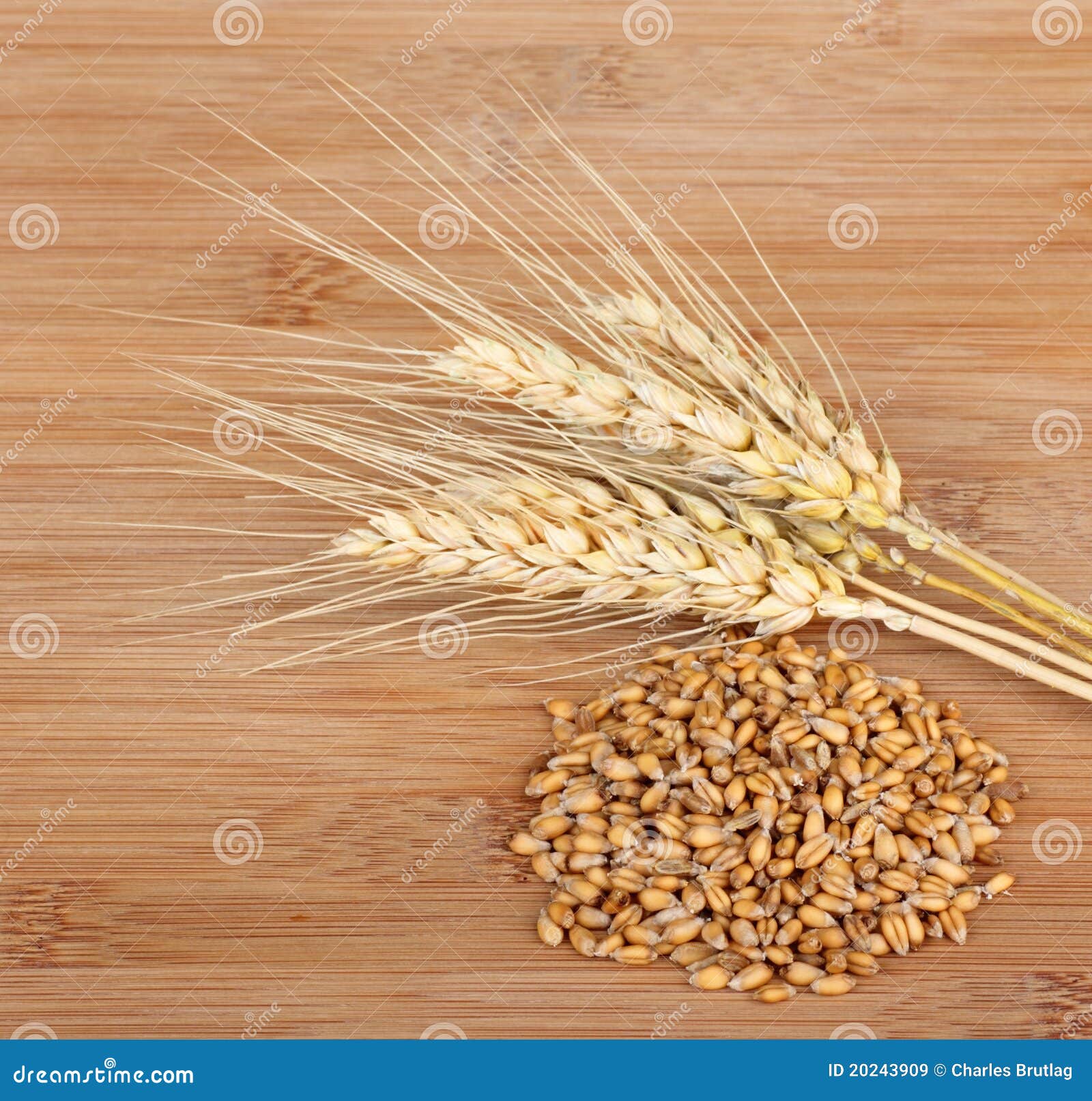 De Hoofden Van De Tarwe En De Korrel Van De Tarwe Stock Afbeelding ...