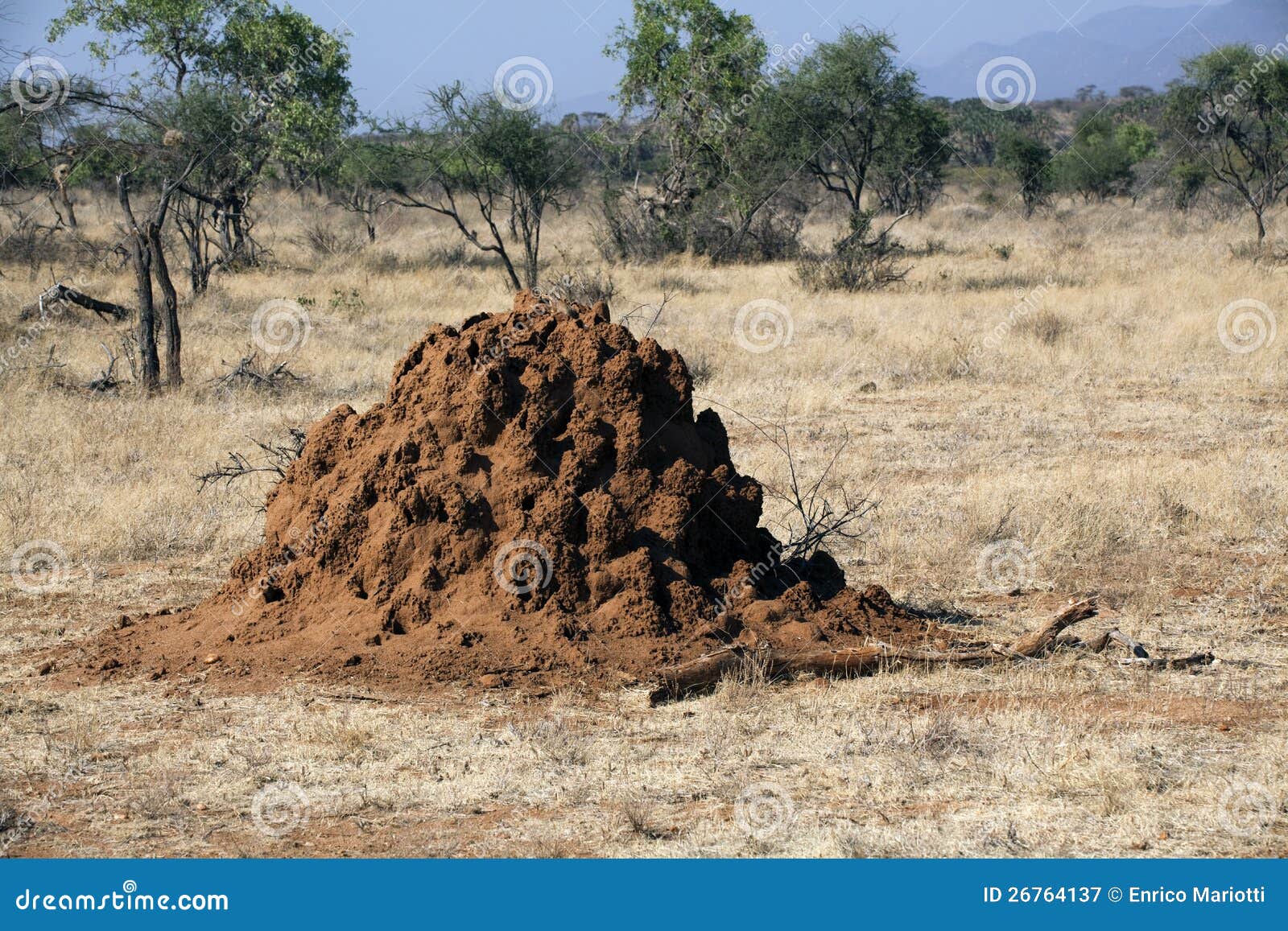 De Hoop Van De Termiet in Kenia Stock Afbeelding - Image of baby ...