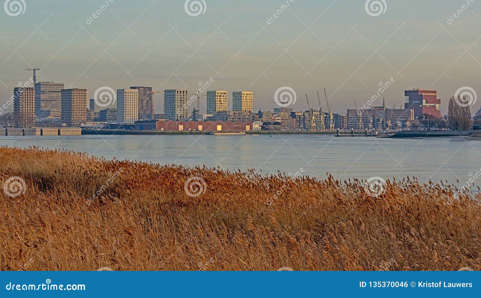 De Horizon Van Antwerpen Van Over Rivier Schelde, in Warm Avondlicht ...