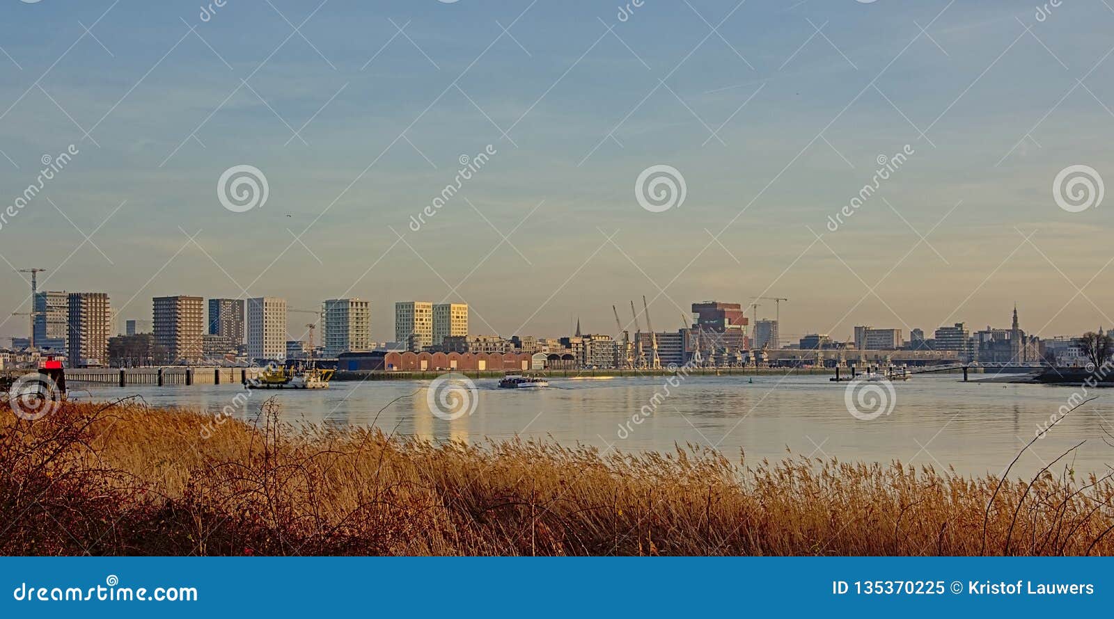 De Horizon Van Antwerpen Van Over Rivier Schelde, in Warm Avondlicht ...