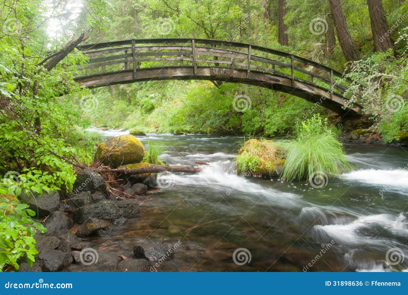 De Houten Brug Overspant Een Rivier in Het Hout Stock Foto - Image of ...
